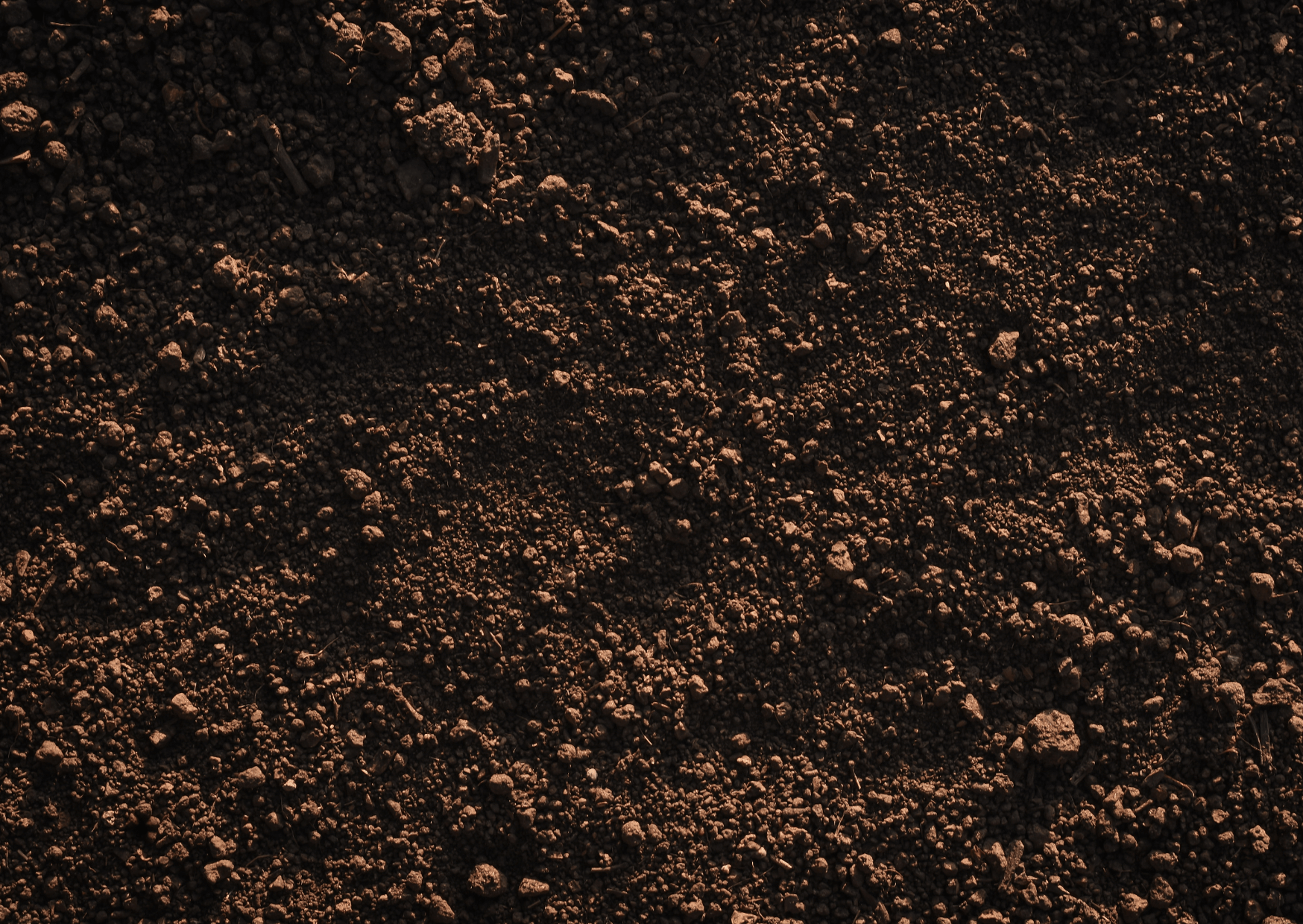 Premium Recycled Soil for Landscaping | NW Recycling